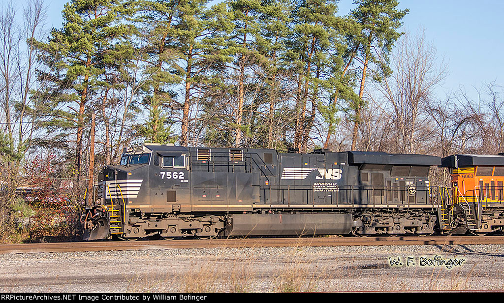 NS 7562